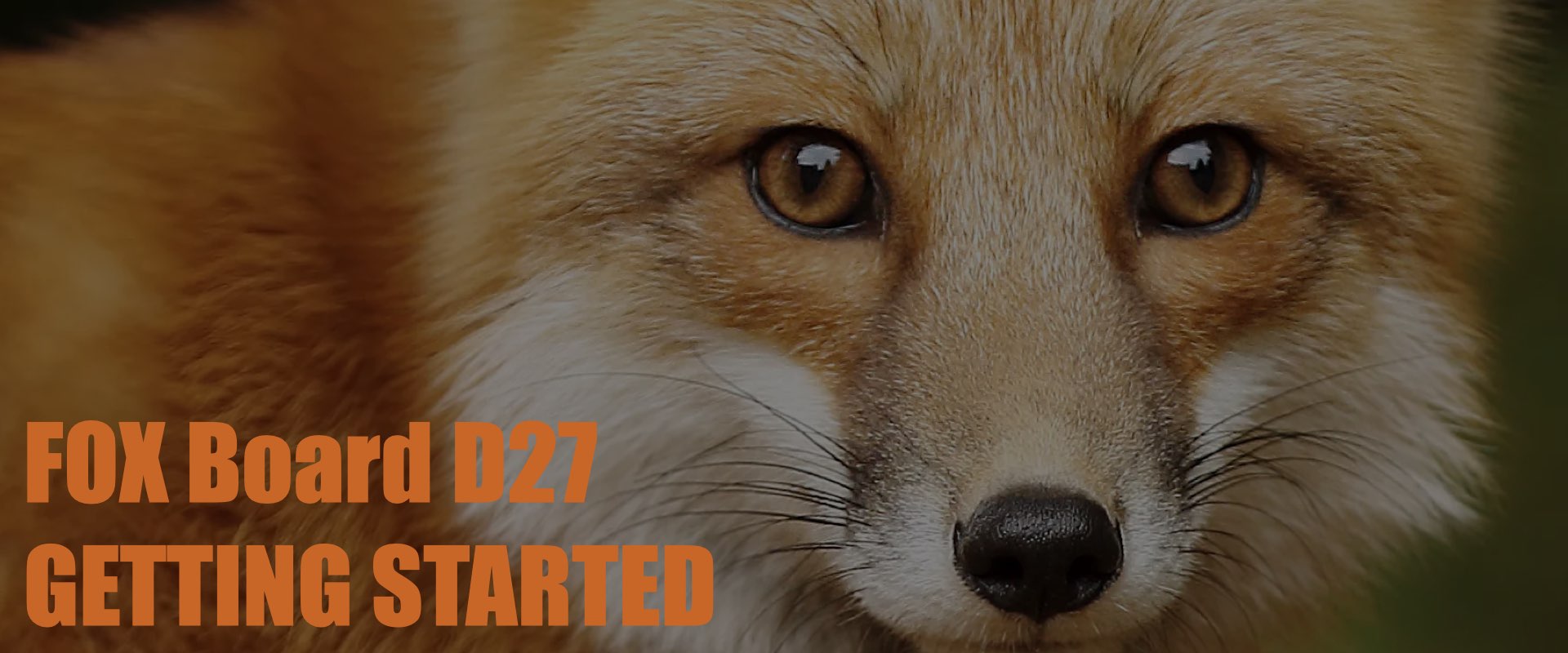 Getting started with Fox board D27