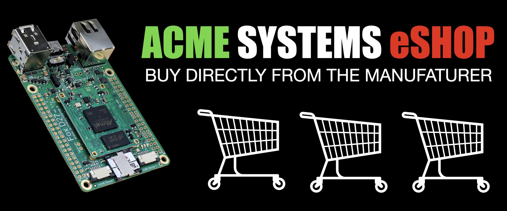 Acme Systems srl
